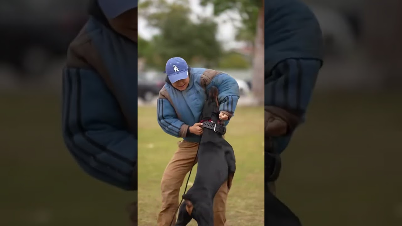 Small Dogs Steal Hearts in This Cute Pup Trend