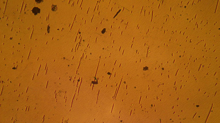 Semiconductor wafer on ISS goes under the microscope | Space photo of ...