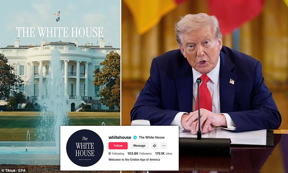 TikTok users react to new White House account