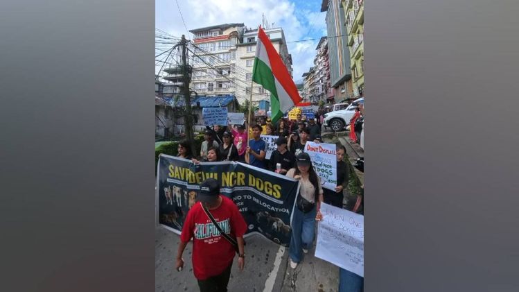 Sikkim citizens hold candle rally to advocate street dog welfare
