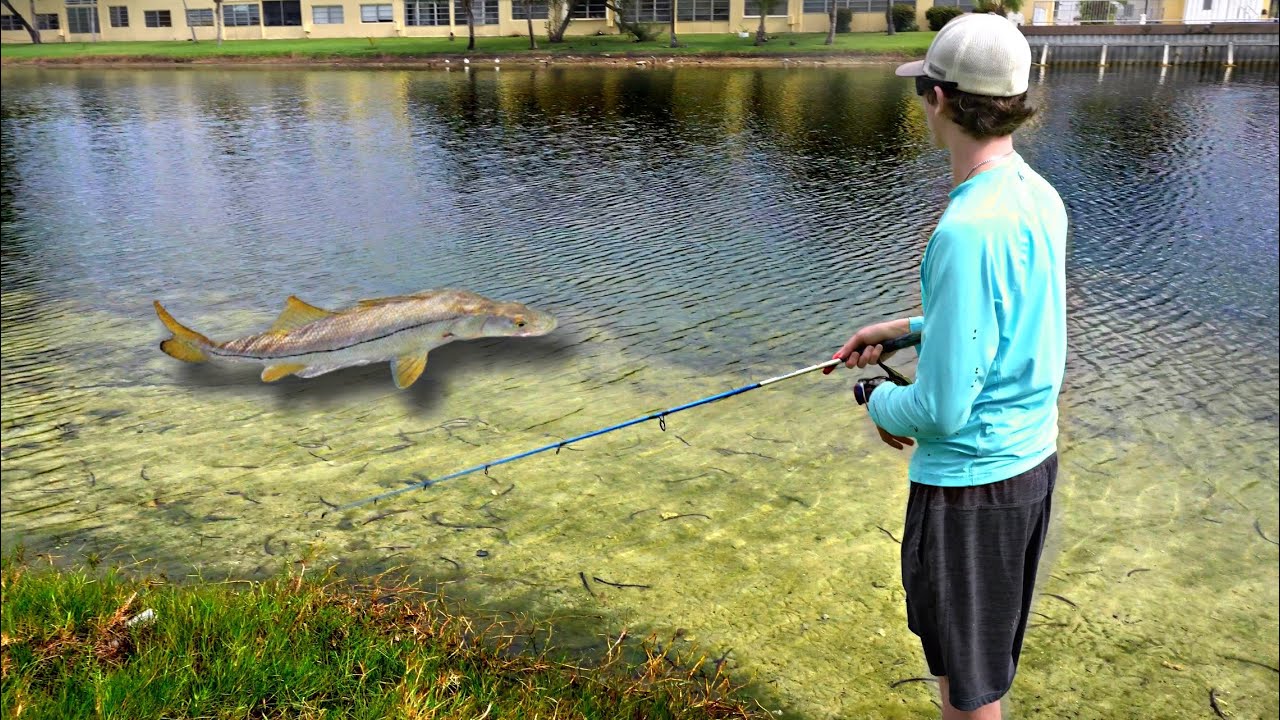 This Miami pond has saltwater giants... but we weren’t exactly welcome