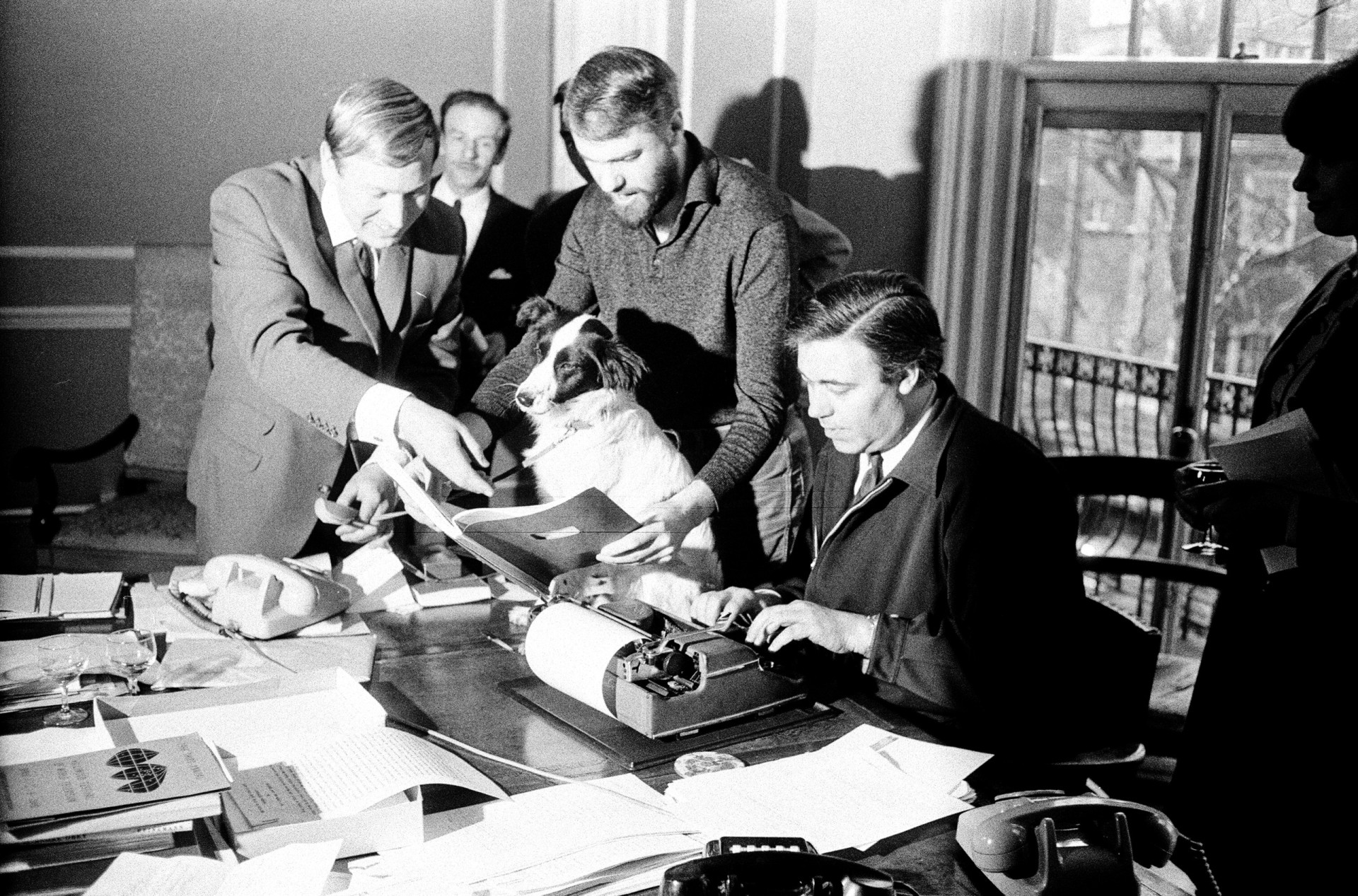 Natural spies: Animals used in espionage