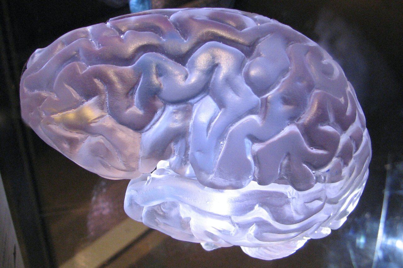 Blocking brain damage may slow glioblastoma growth