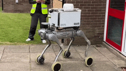 We went out with the Evri robot dog in Leeds