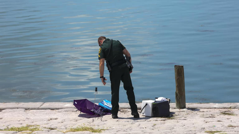Deputies identify man whose body was found floating near Dunedin Causeway
