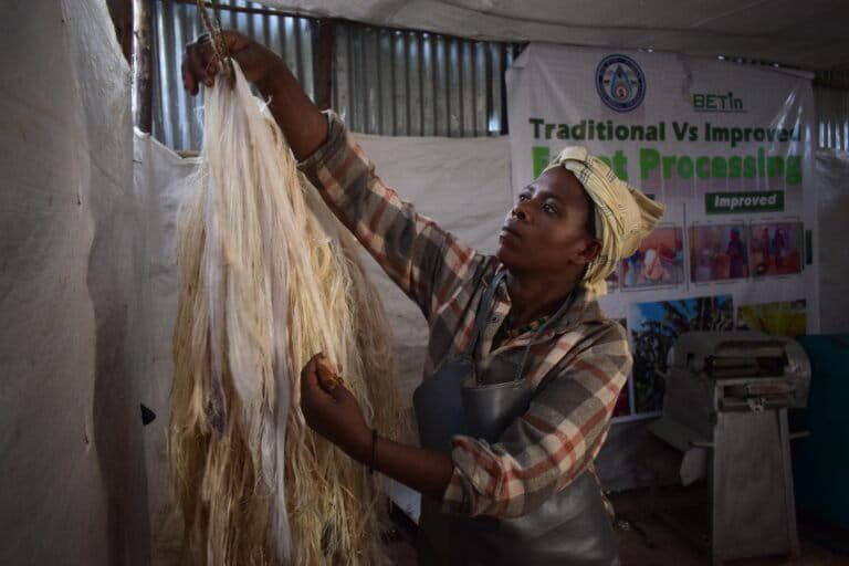 Ethiopian initiatives try to mainstream traditional and resilient enset ...