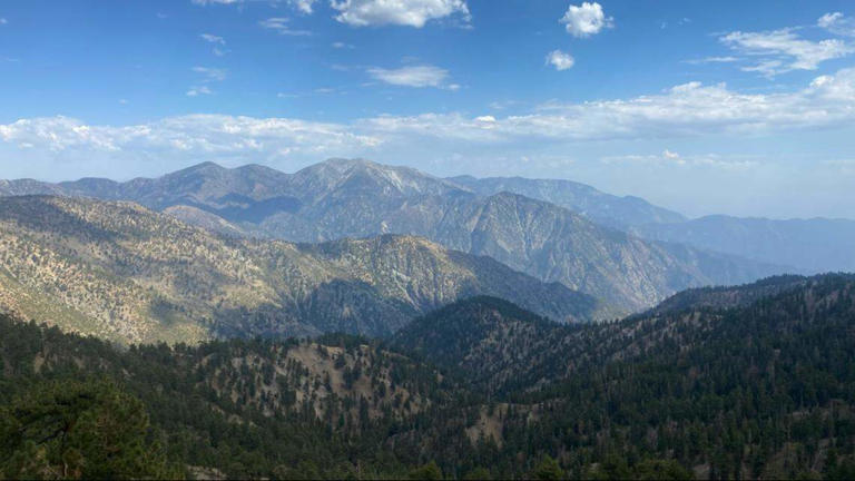 Husband flees country before missing wife's body is found in forest, CA ...