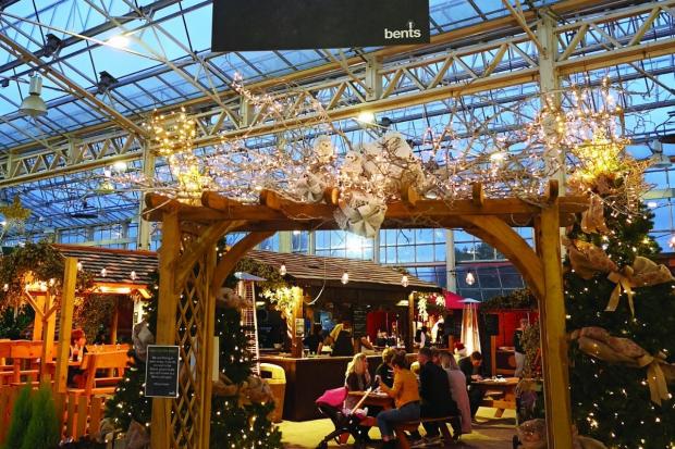 Popular garden centre announces fantasy theme for new Christmas light trail