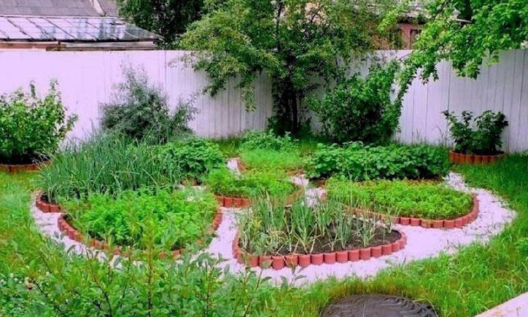 Cómo construir un huerto circular: guía paso a paso y consejos para un ...
