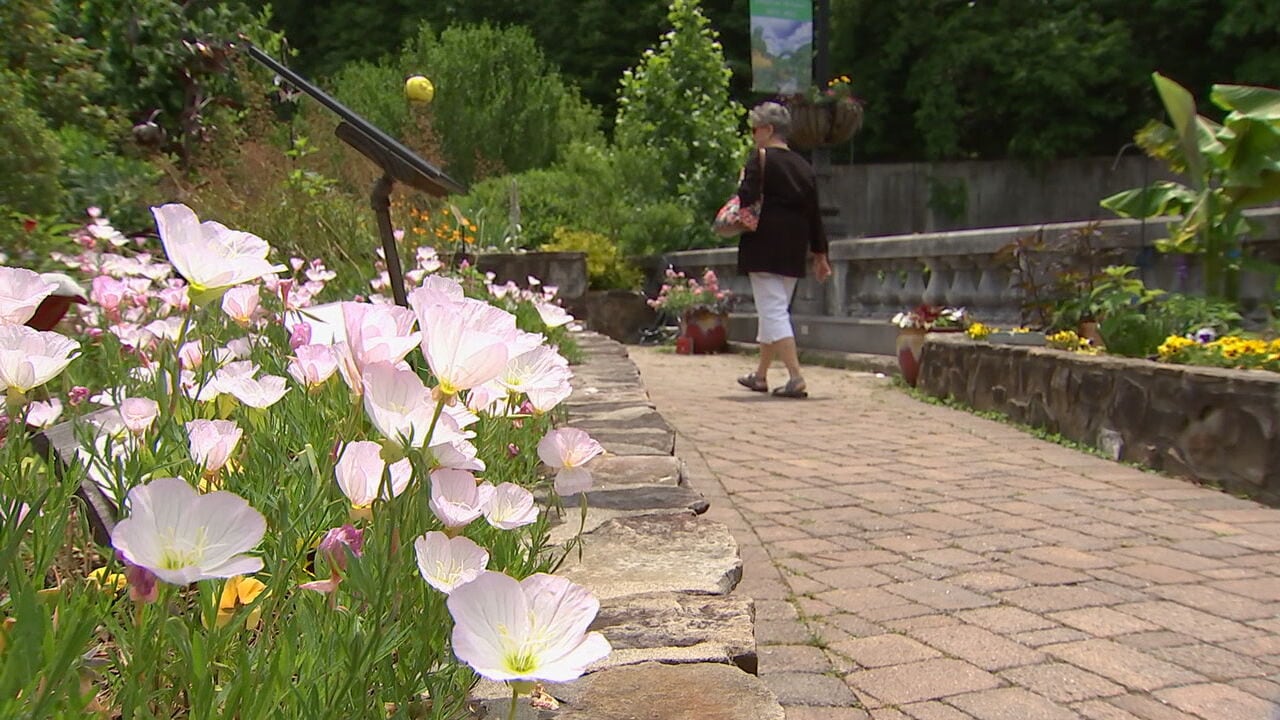 New gardens planned for Lake Lure’s Flowering Bridge