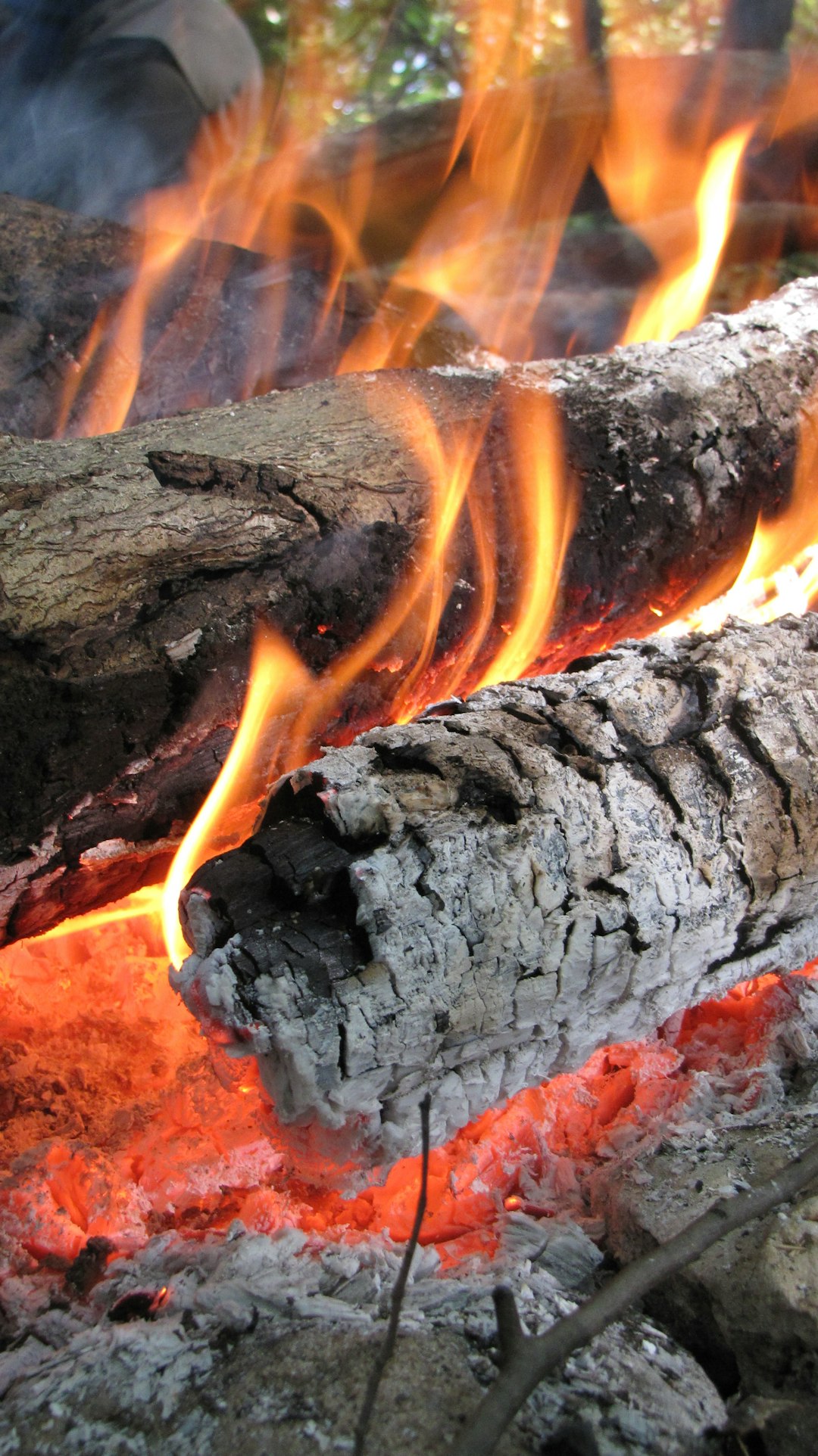 6 Things You Cannot Burn in Your Backyard But Some Still Do