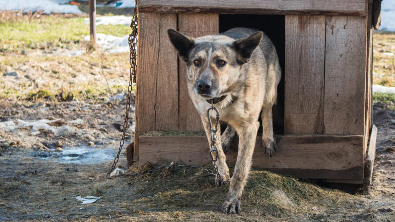 87-year-old Meeker man loses home in Elk fire: 2nd major fire disaster ...