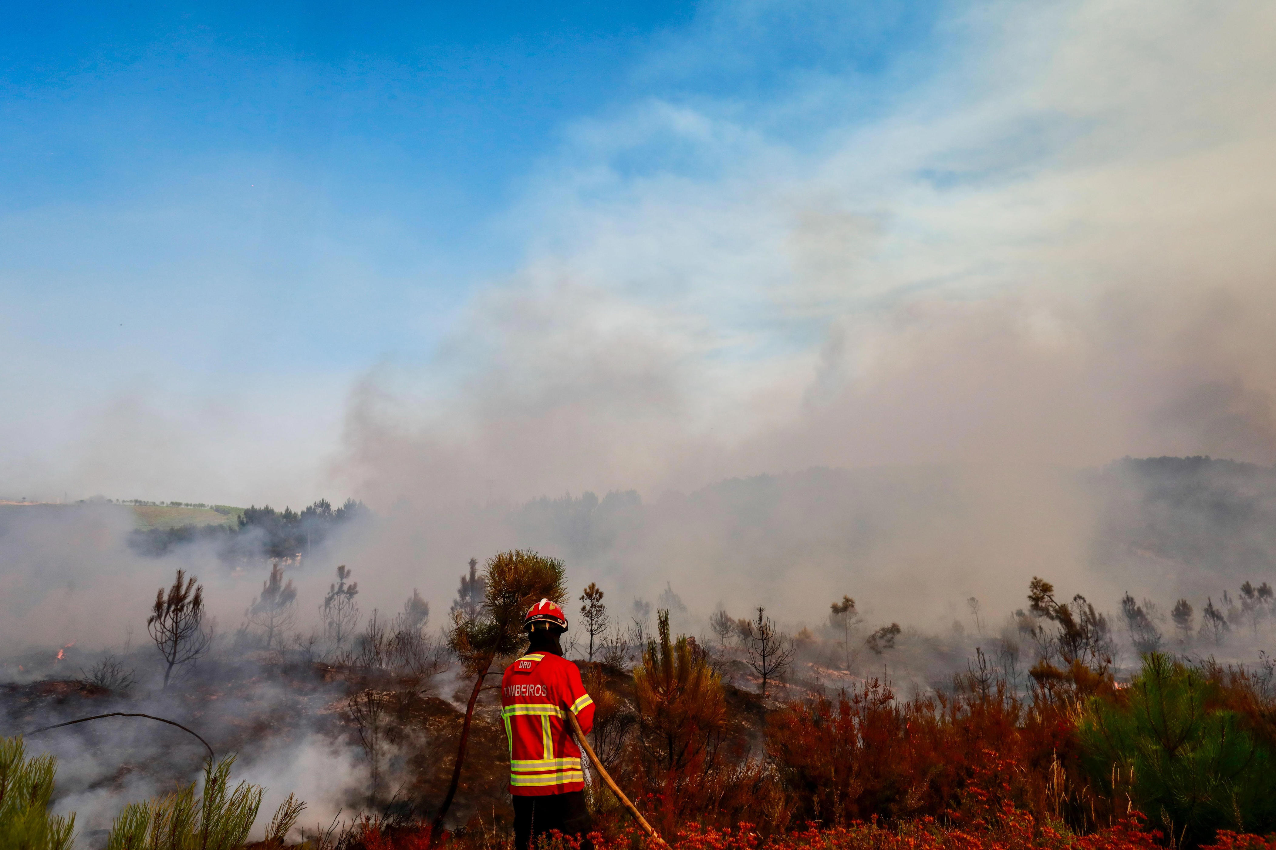 Fogo em Vieira do Minho com mais de 100 operacionais e seis meios aéreos