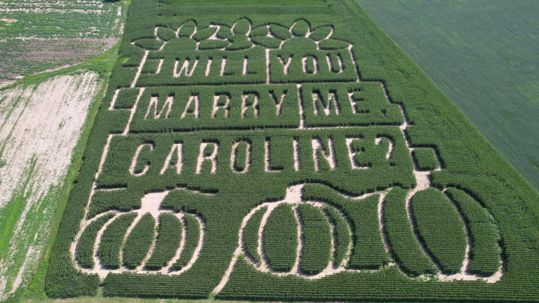 A corny proposal: Farmer pops the question with a custom maze