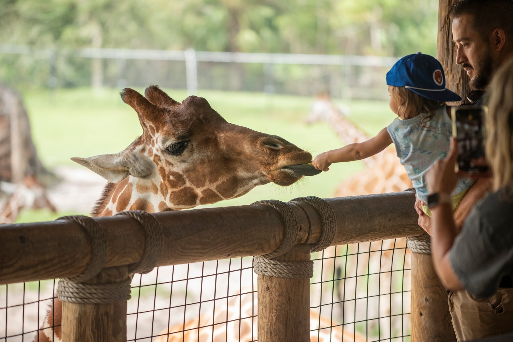 Jacksonville Zoo and Botanical Gardens Announces Lineup of Fall Special ...