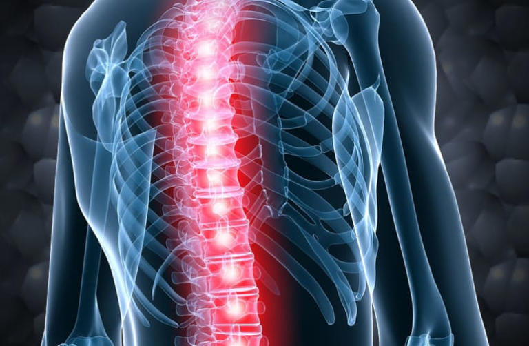 World's first spinal cord transplant to take place in Israel, could ...