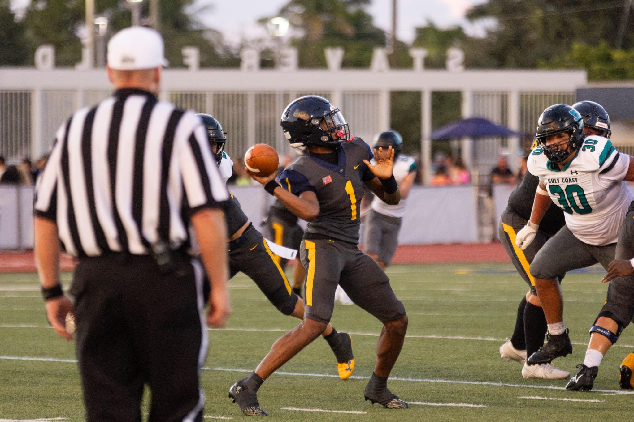 You voted and here are the top SW Florida football players by position ...