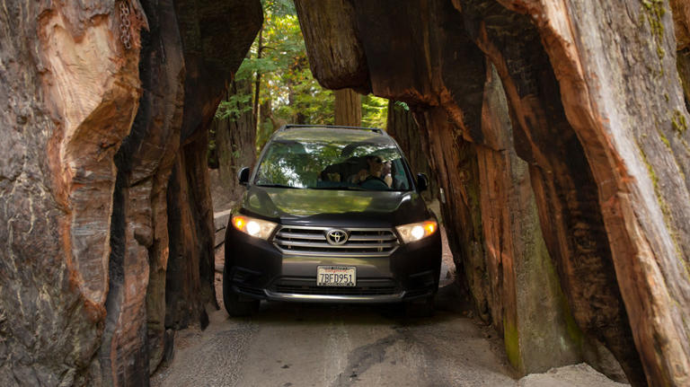 Only In Northern California Can Travelers Take A Kitschy Road Trip ...