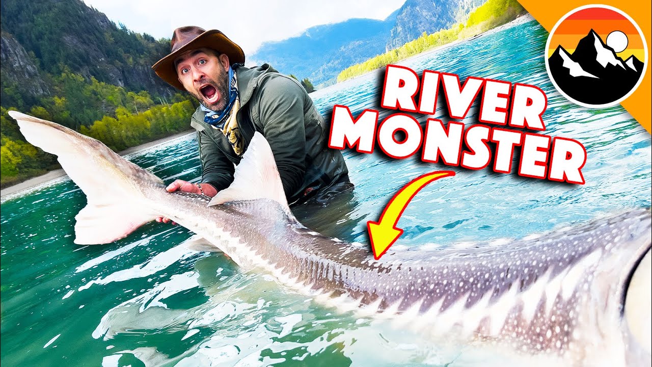 Monster Catch: Reeling in a 300lb Freshwater Giant