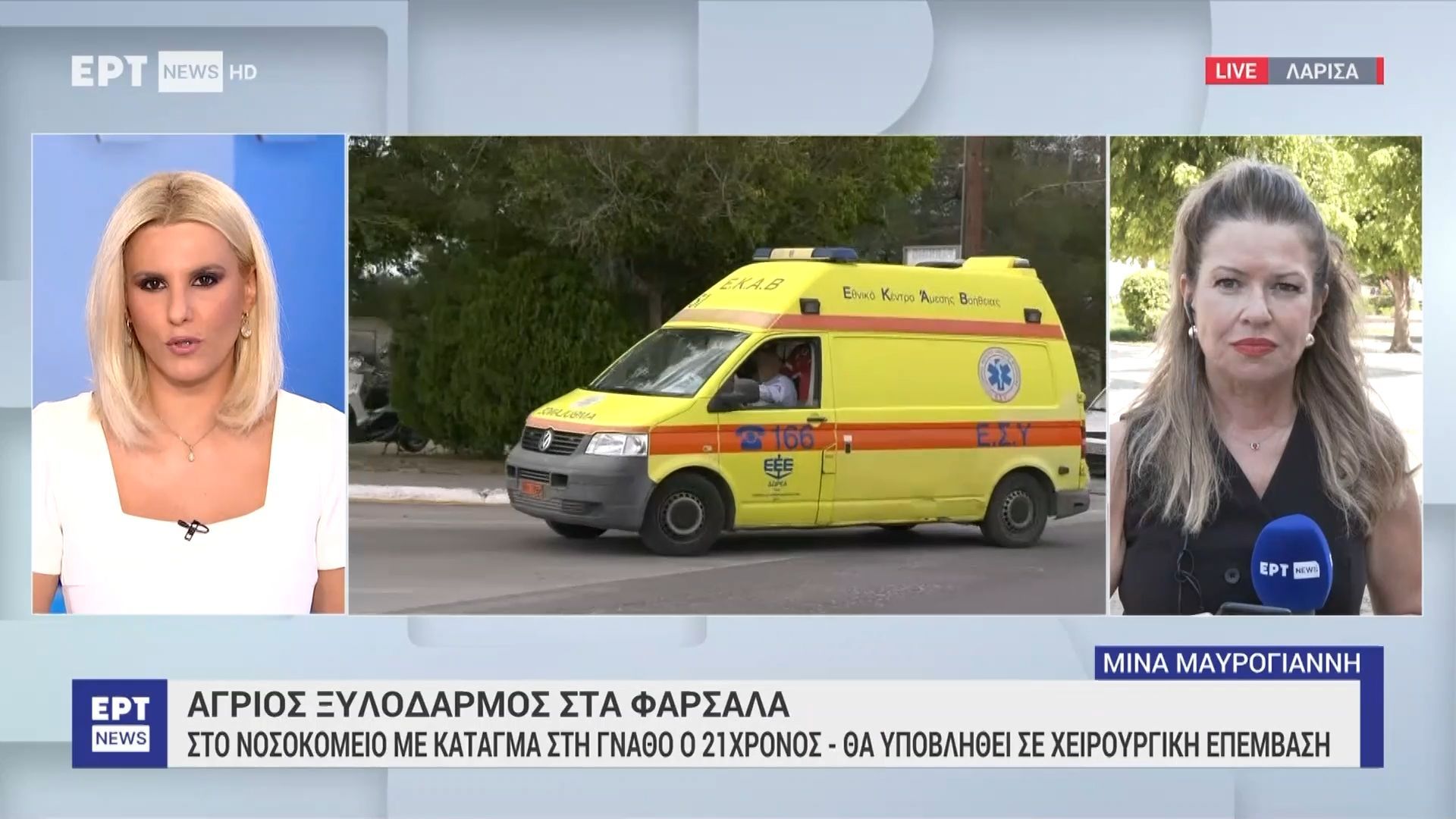 Ξυλοδαρμός στα Φάρσαλα: Στο νοσοκομείο με κάταγμα στη γνάθο ο 21χρονος