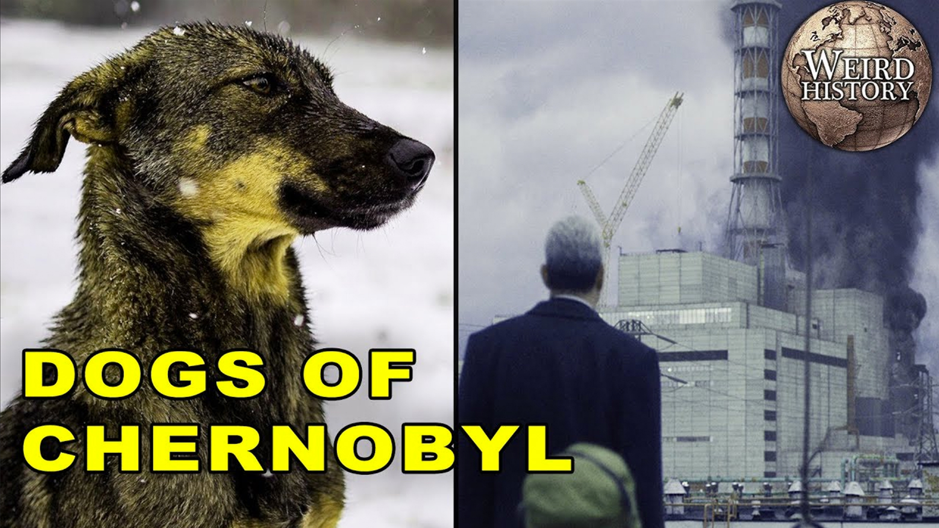 The Dogs of Chernobyl