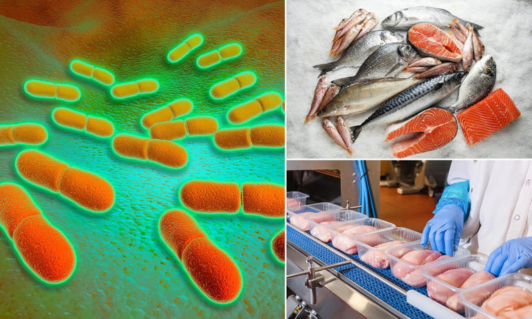 Food safety chiefs reveal salmon sold at major supermarkets could ...