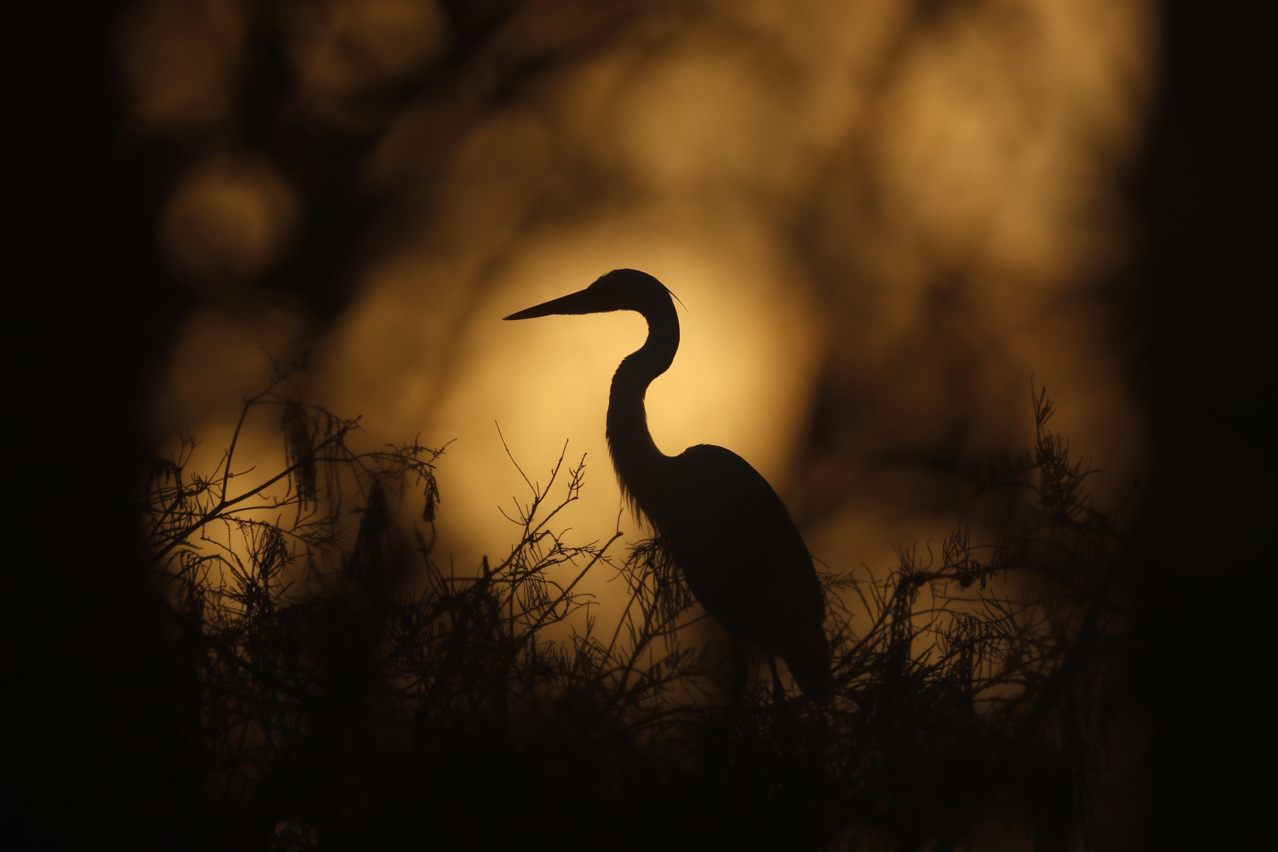Everglades fire: Miami air quality worsens as wildfire grows to 1,600 acres