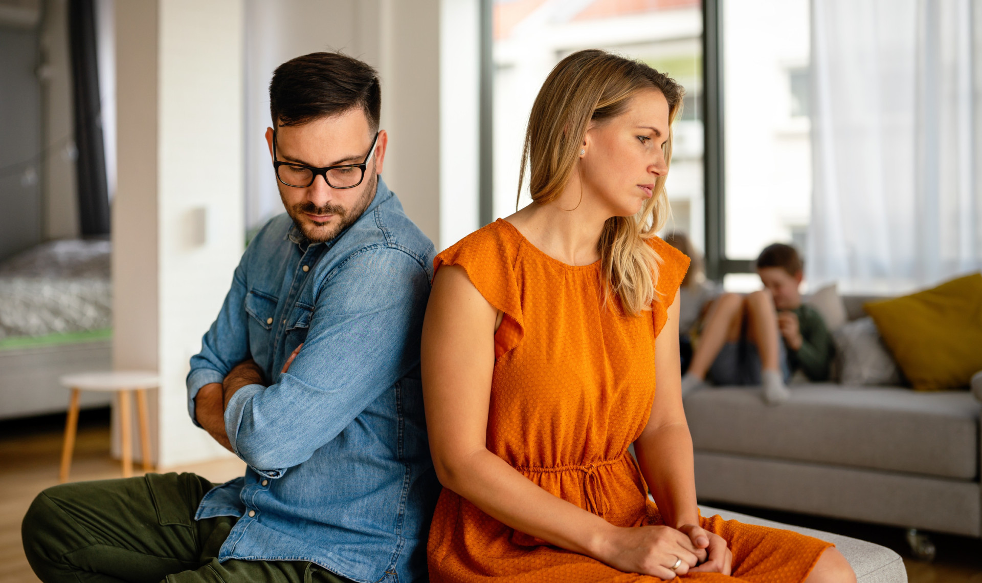 What is the family stress theory?
