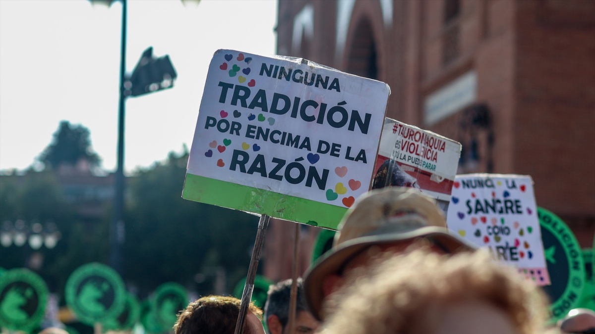 Pacma denuncia el acceso gratuito para menores de 4 años a una corrida ...