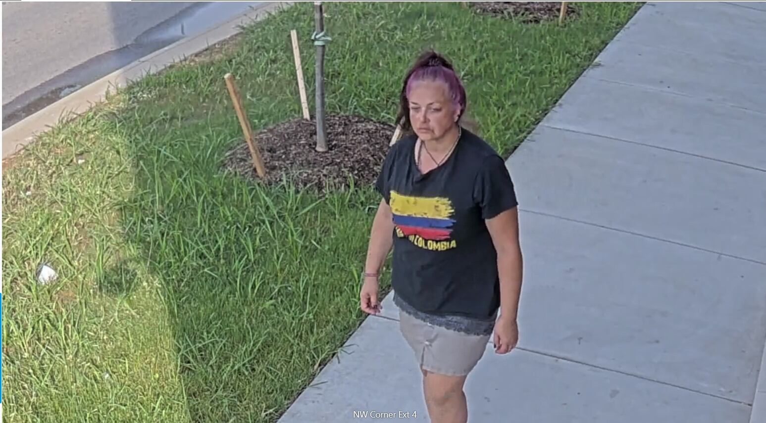 Video shows woman trying to throw rock through LC4 windows