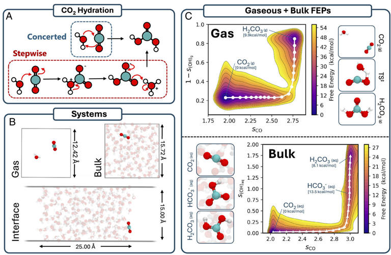 New 'in and out' mechanism reveals how carbon dioxide reacts at water's ...