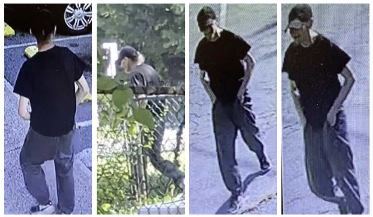 Man Tried Sex Act With Dog—Twice, In Pennsylvania Yard, Police Say ...