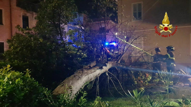 Bomba d'acqua, raffiche di vento e blackout: il maltempo sferza il ...