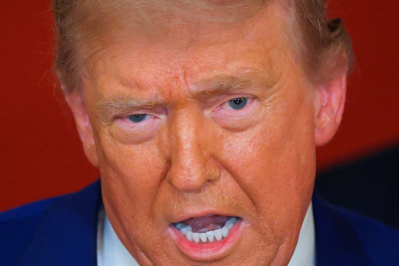 Fisherman catches 'Donald Trump' shark with freak mutation that makes ...