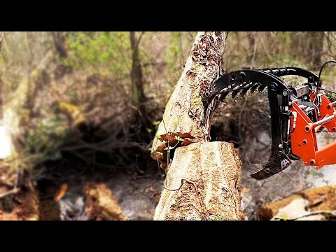 Kubota tractor vs. fallen trees: Epic DIY creek clearing & chainsaw ...