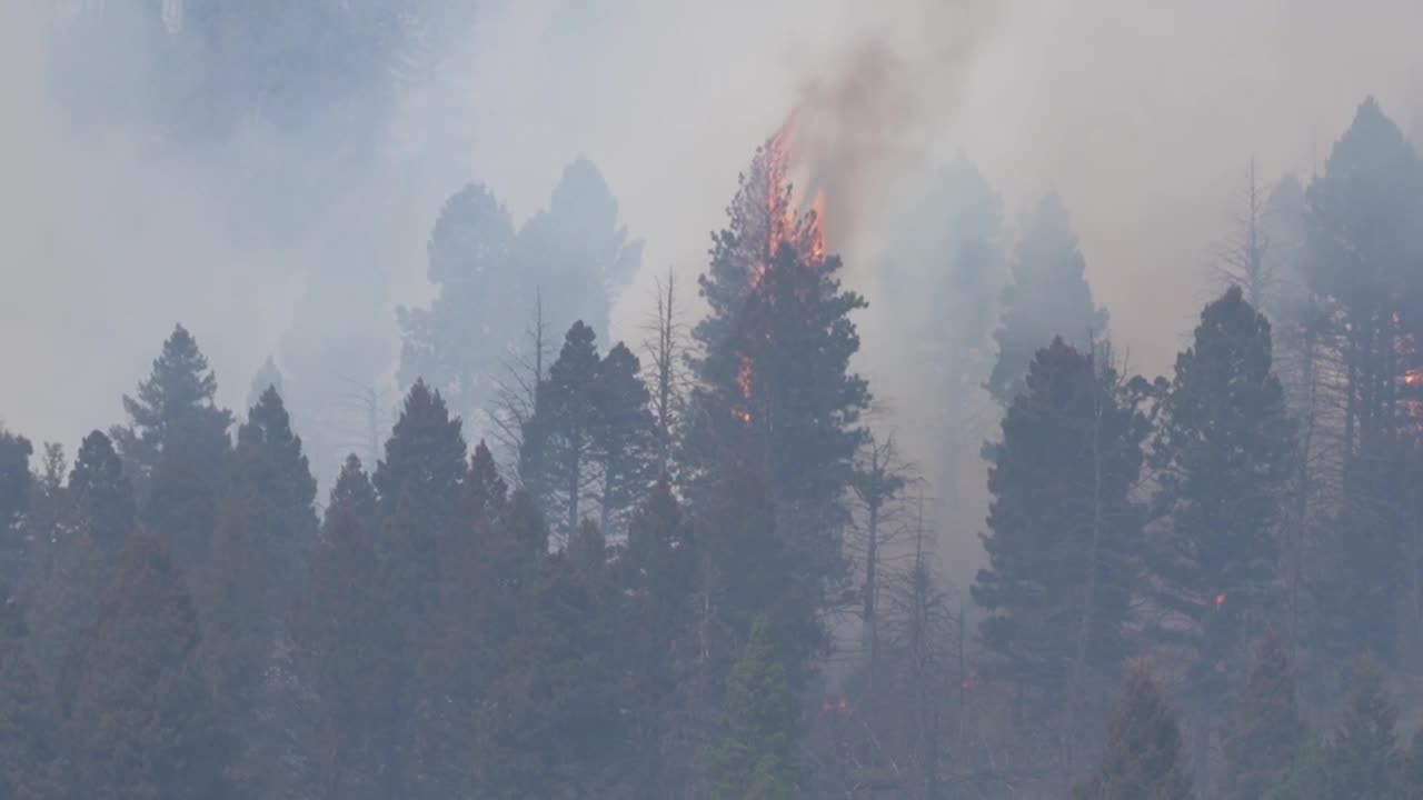 Sandbar 2 Fire grows near Flesher Pass