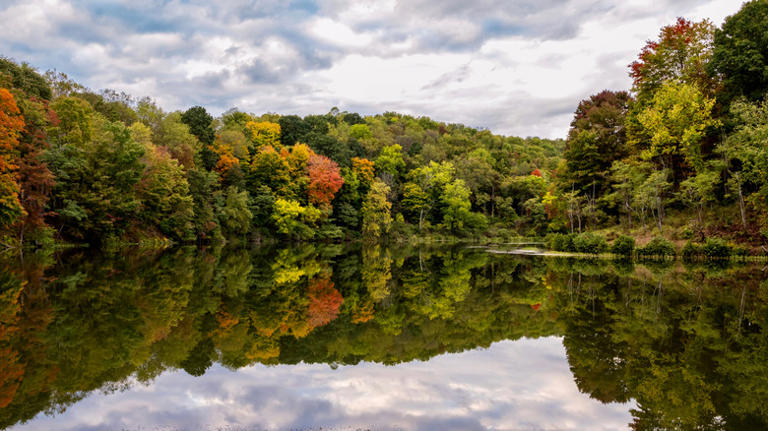 West Virginia's Underrated Mountain Town Is A Melting Pot Of Culture ...