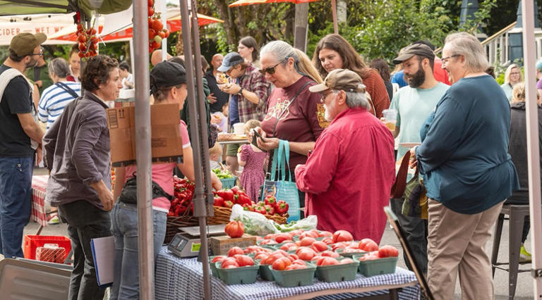 Dirty Girl? Early Girl? They’re available at Tomato Fest