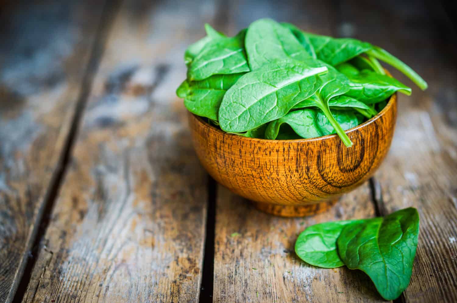 Is Spinach Healthier Than Lettuce? Here’s What the Research Says