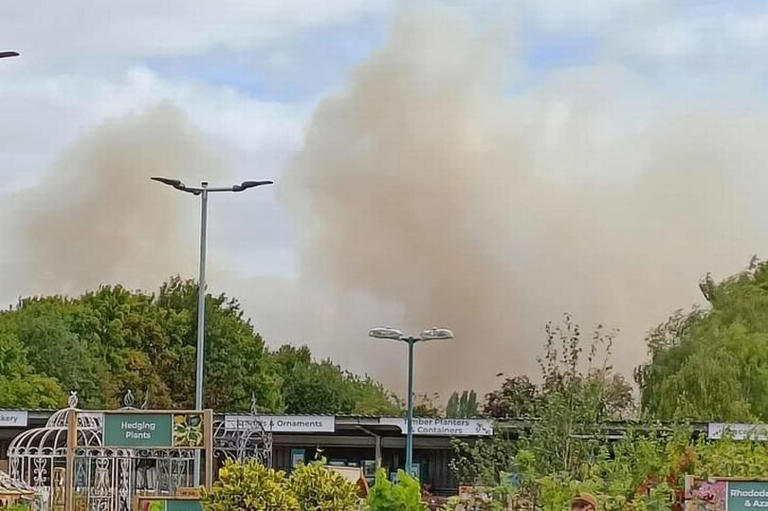 50 firefighters tackle Cambs field fire as smoke blows over the M11