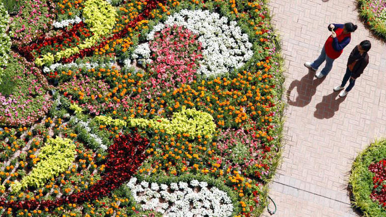 Hongrie : le carnaval des fleurs de Debrecen célèbre en couleurs la ...