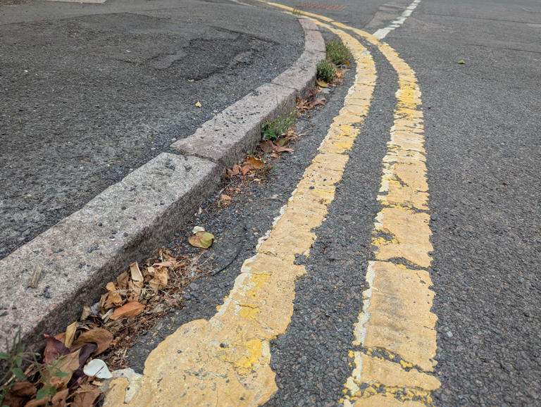 Double yellow lines approved in Kenilworth - but one plan is parked