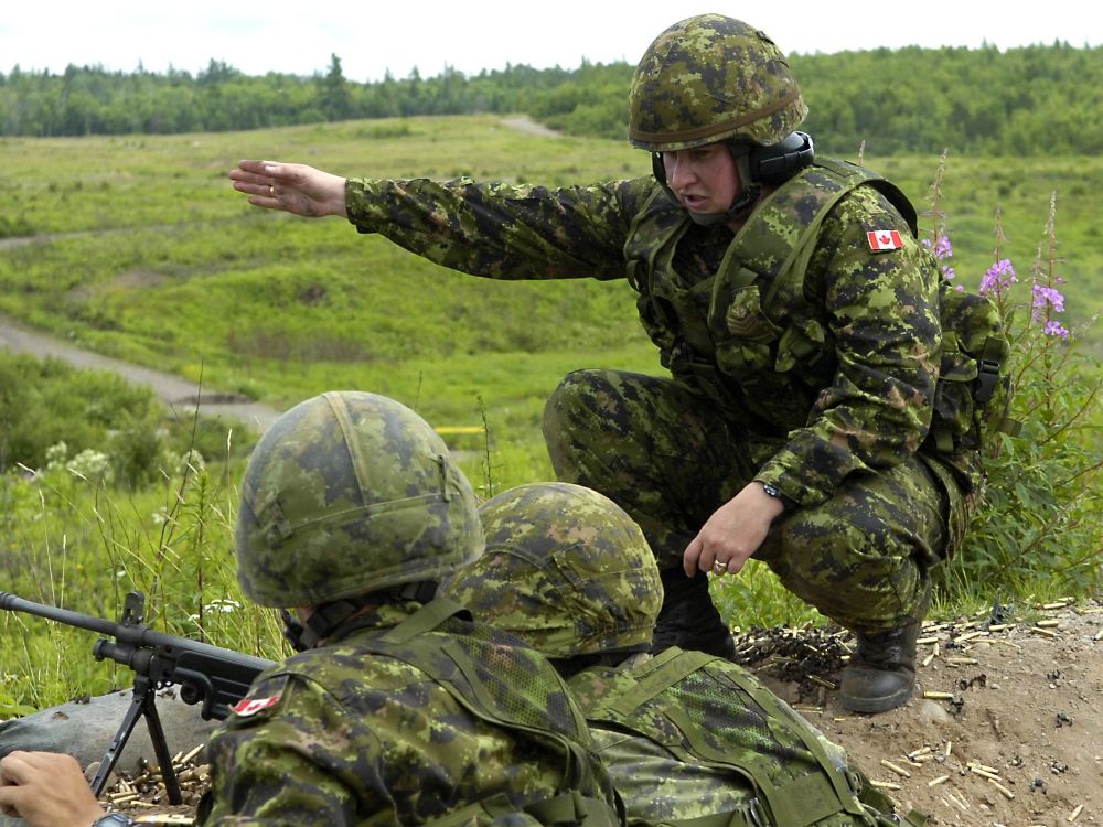 John Robson: Canadians unwilling to defend themselves?