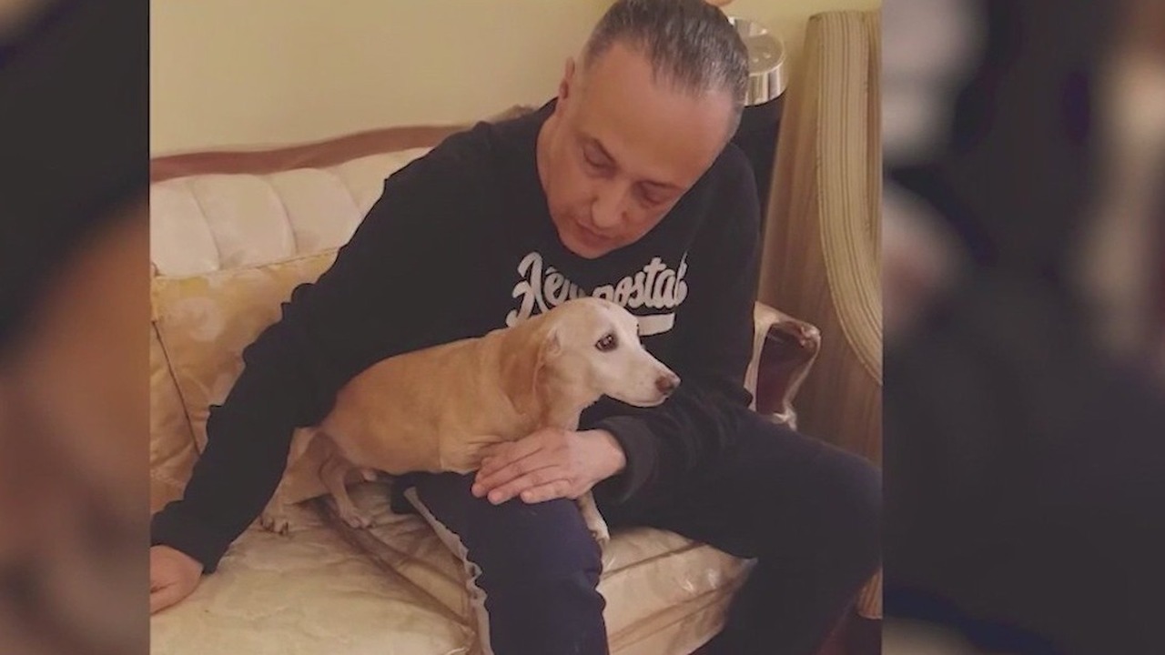 New details released after Chicago blind man's dog returned after being ...