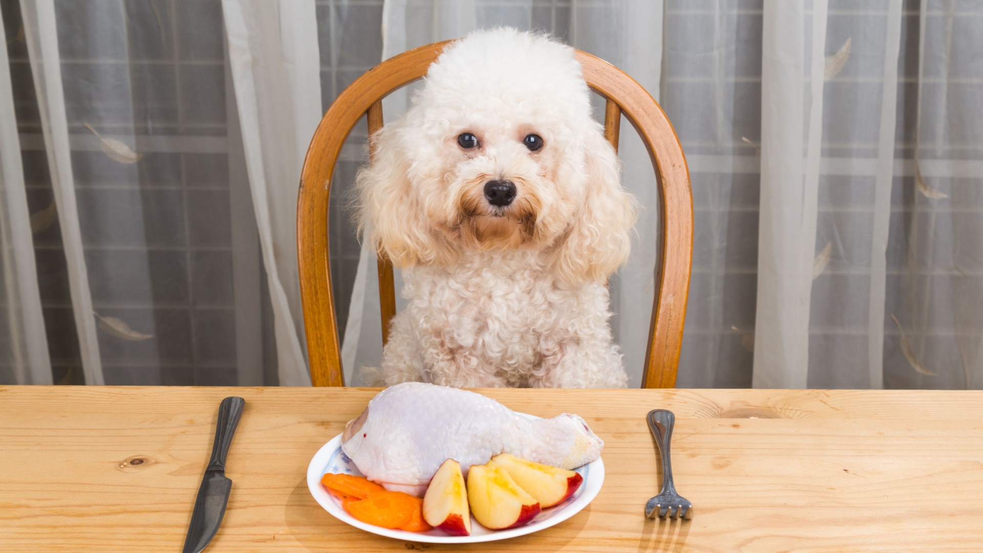 10 Human Foods That Are Good For Dogs