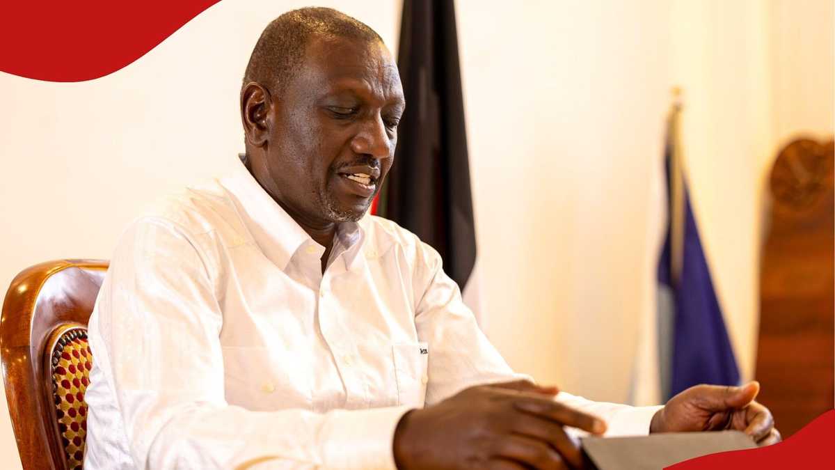 Lawyer Steve Ogolla explains threshold Ruto must meet to prove bribery ...