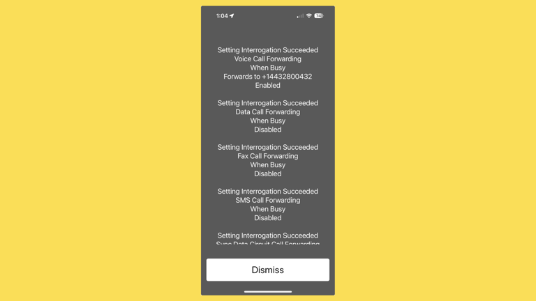 These 13 Secret Codes Can Unlock Hidden Features on Your iPhone or Android