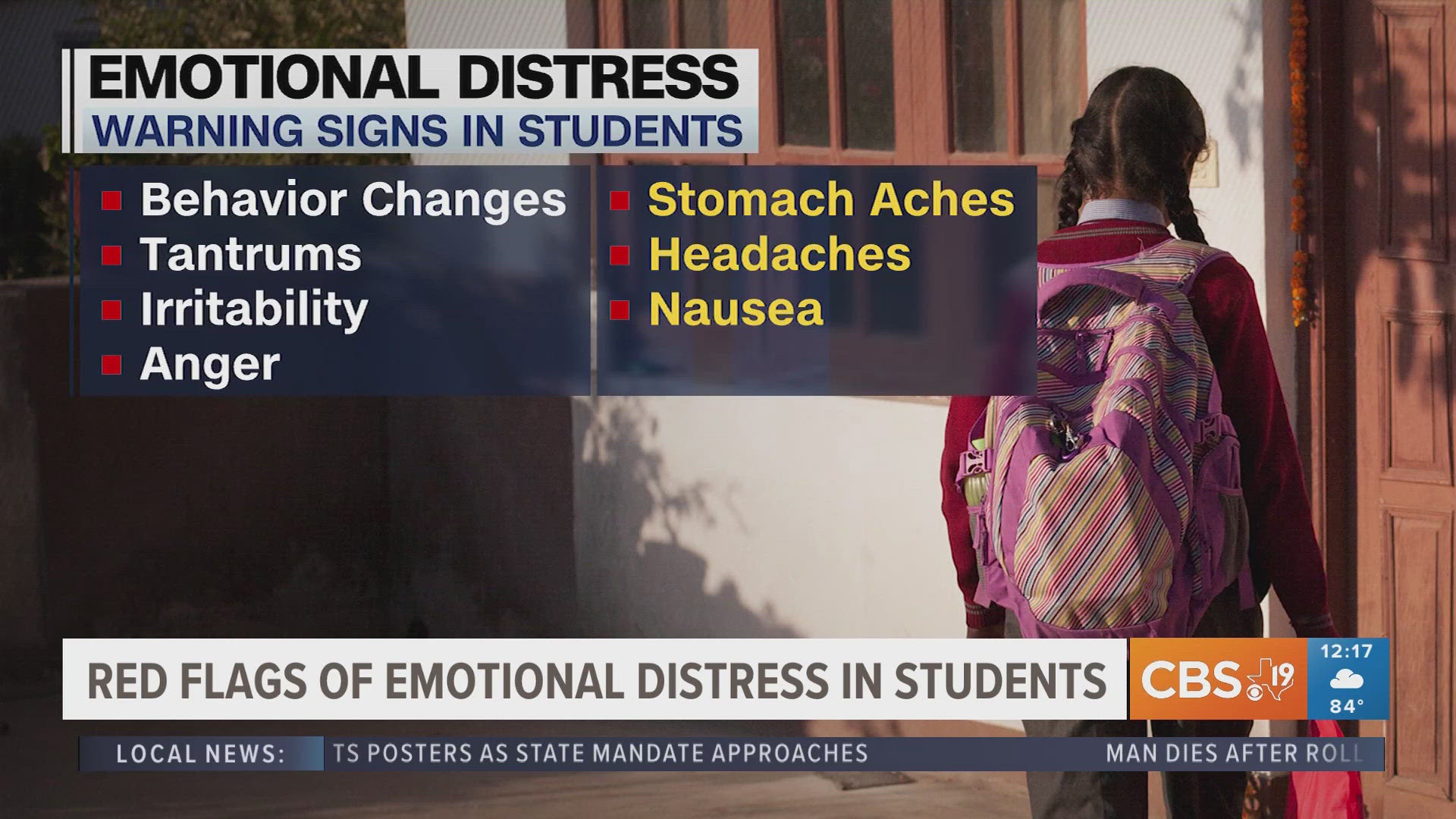 What are the red flags of emotional distress in students?