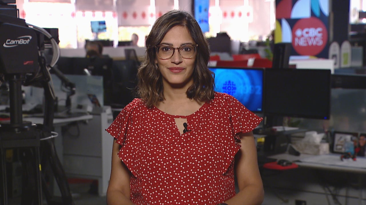 CBC Calgary Headline News August 20: Animal shelter blitz, Inglewood ...