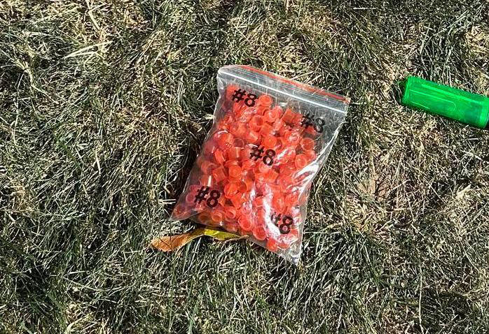 Holyoke Police recover ammunition, crack-cocaine in arrest